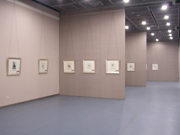 Operable Dividers Exhibition Partition Walls